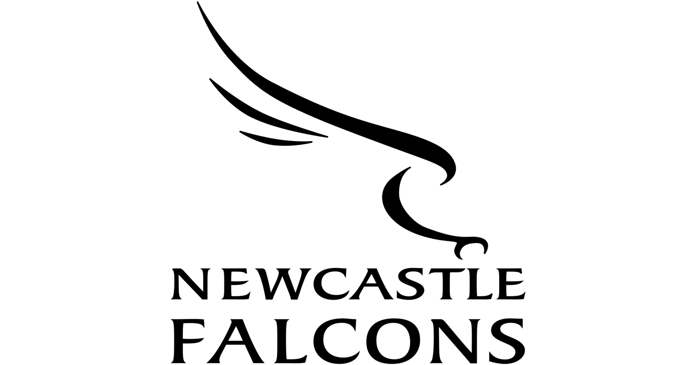 Red Bull Confirm Takeover of Newcastle Falcons